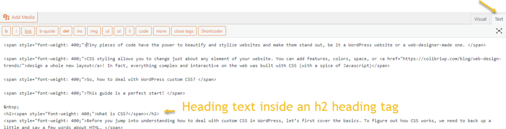 Chapter 9: Custom HTML and Custom CSS in WordPress | KubioBuilder