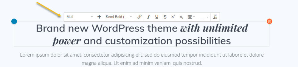 WordPress Typography: from Head to Toes (Customizer & Block Editor Included) | KubioBuilder