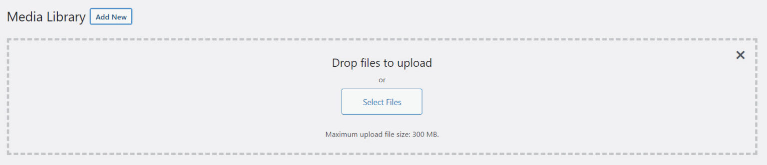 A Newbie's Guide to WordPress Media Library in 2022 | KubioBuilder