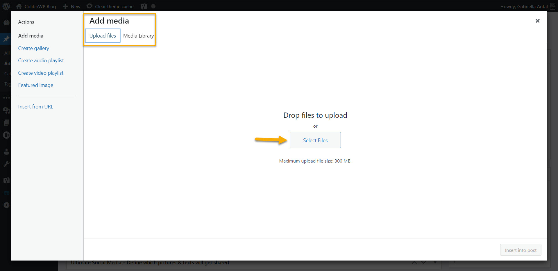 A Newbie's Guide to WordPress Media Library in 2022 | KubioBuilder