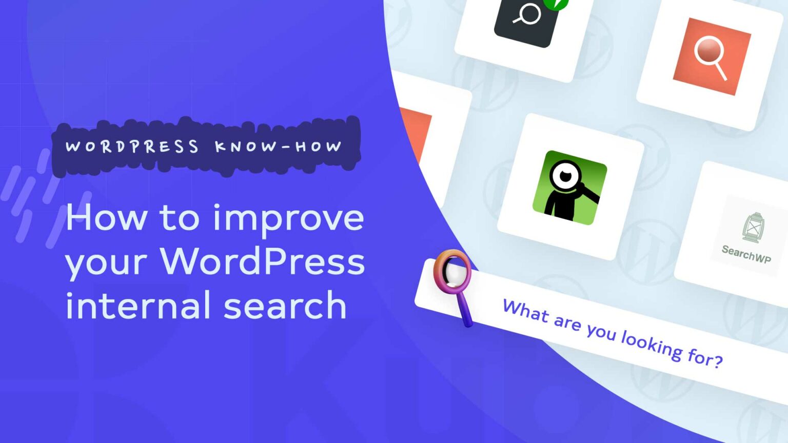 How to improve your WordPress internal search | KubioBuilder